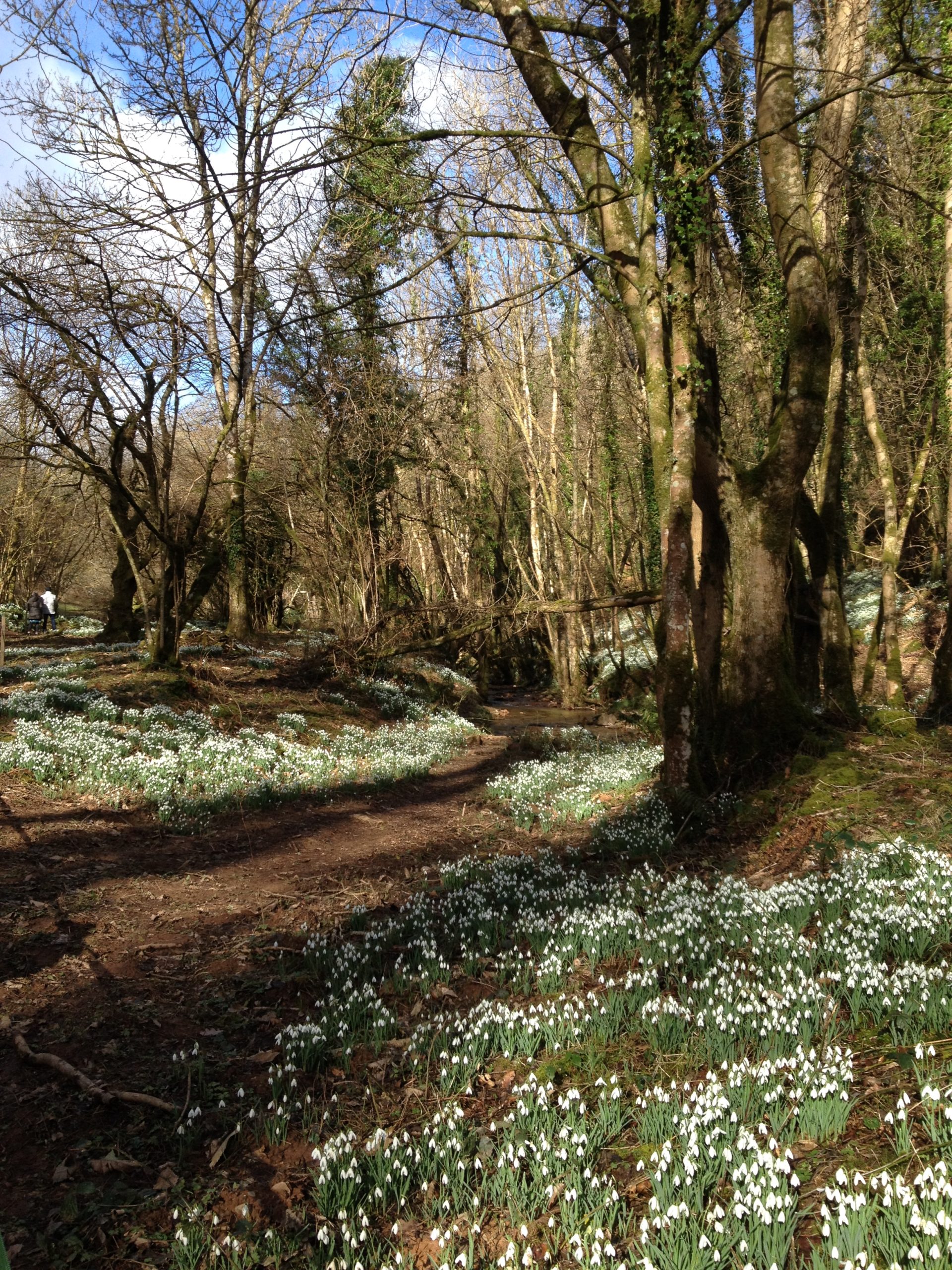 Introduction to Ecology - Ecology Training UK