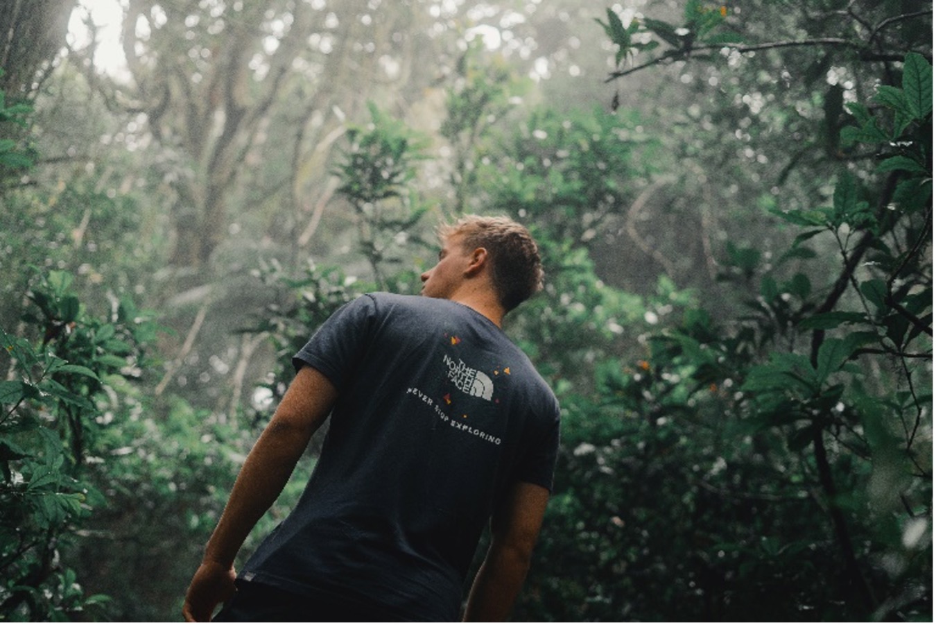 Career Paths in Ecology: Three Options - Ecology Training UK