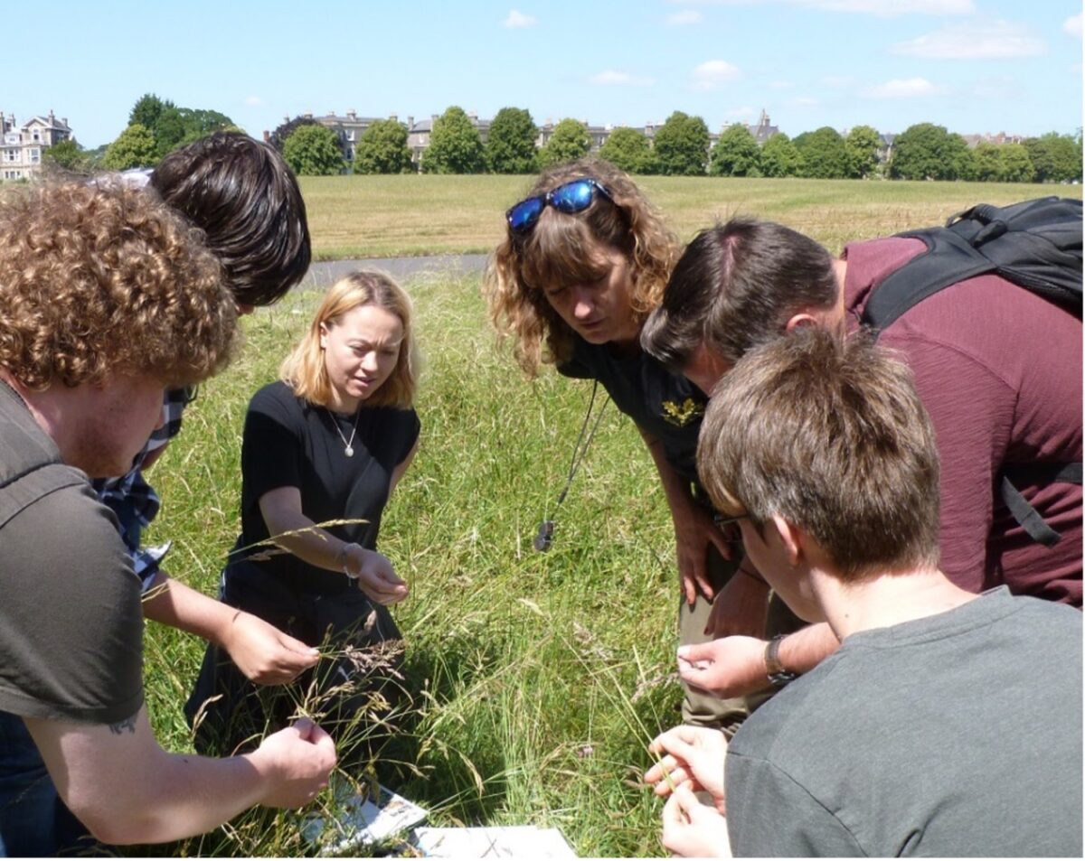 Getting a Career in Ecology - Ecology Training UK