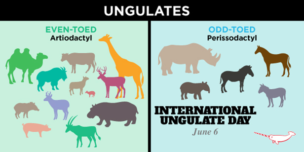 Module 9 - Ungulata - Ecology Training UK