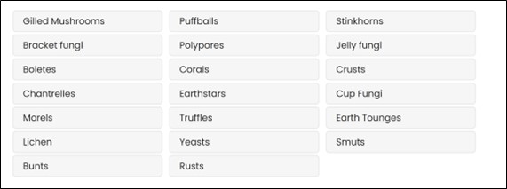 Module 7 - How to Identify Fungi - Ecology Training UK